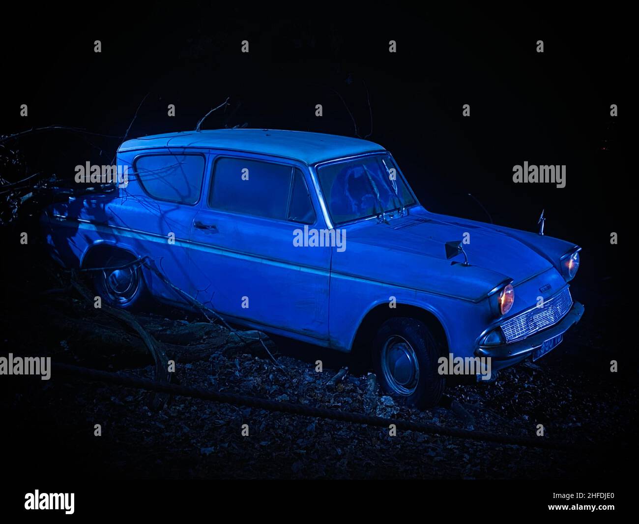Harry Potter Forbidden Forrest Experience Stock Photo - Alamy