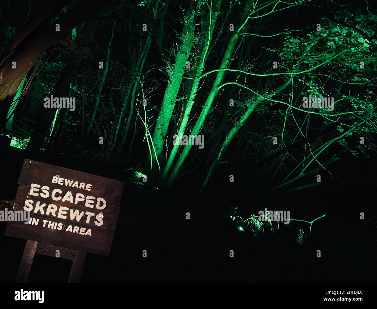 Harry Potter Forbidden Forrest Experience Stock Photo - Alamy