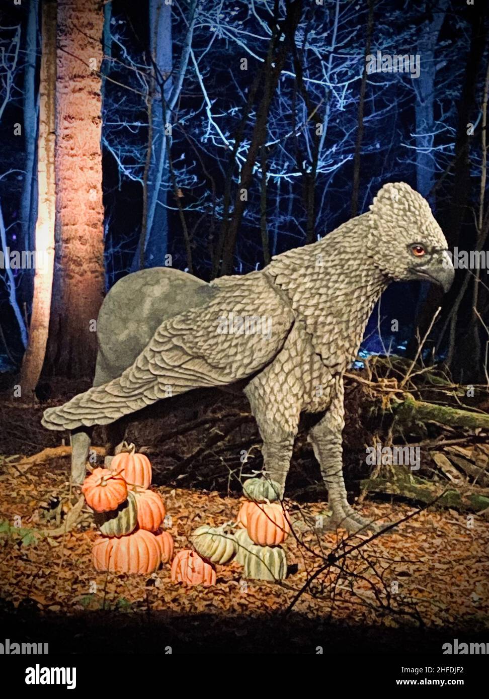 Harry Potter Forbidden Forrest Experience Stock Photo - Alamy