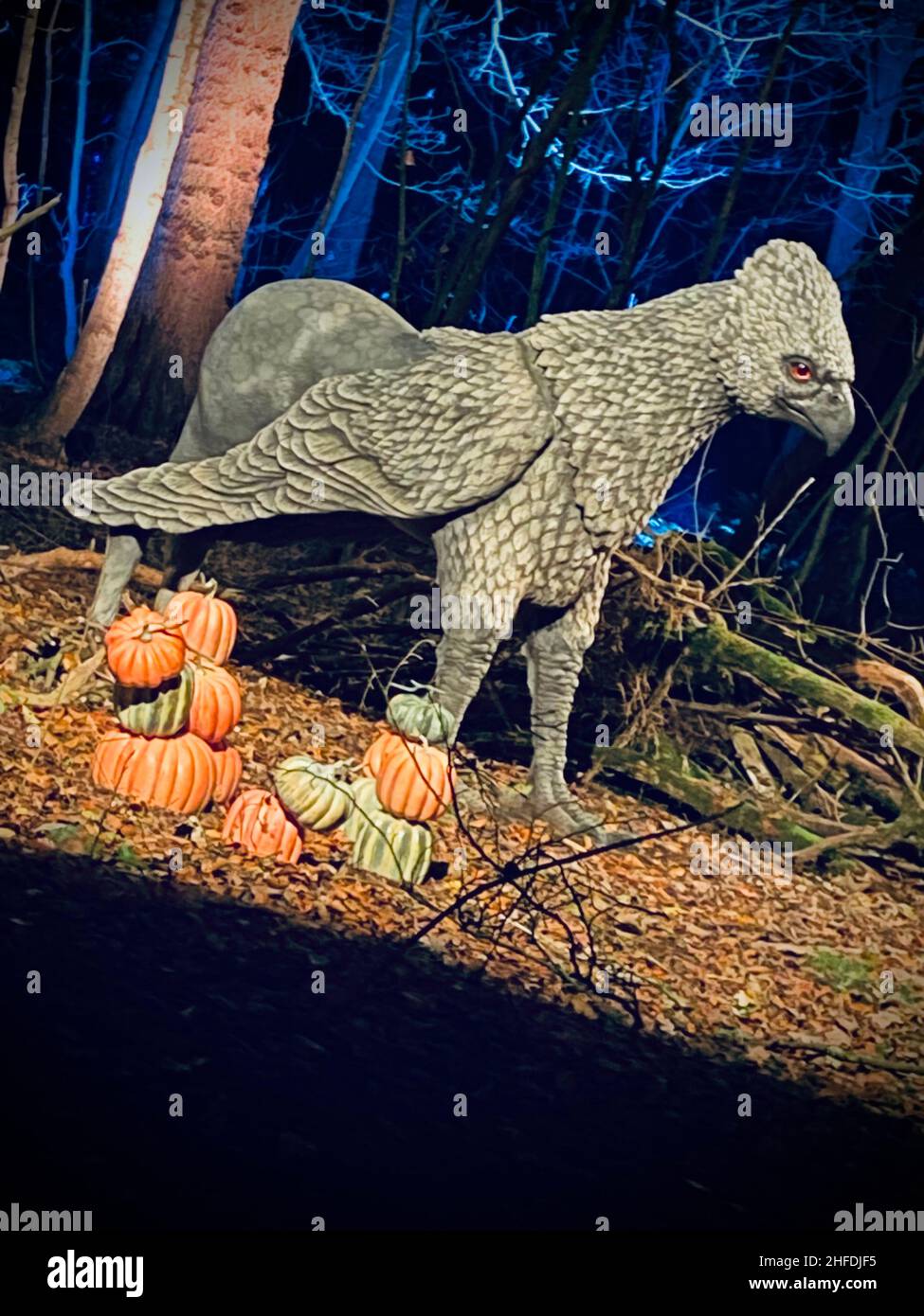 Harry Potter Forbidden Forrest Experience Stock Photo - Alamy