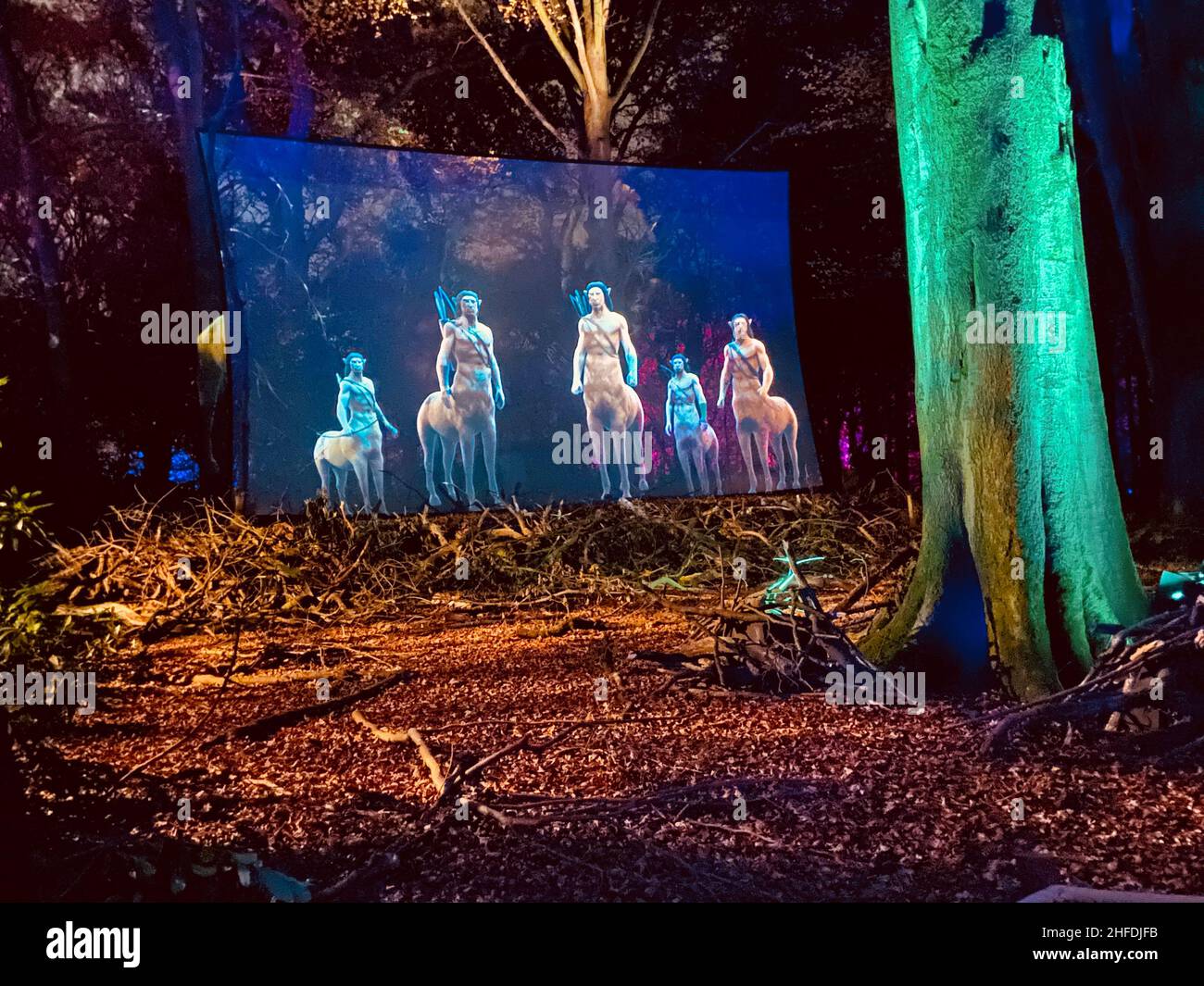Harry Potter Forbidden Forrest Experience Stock Photo - Alamy