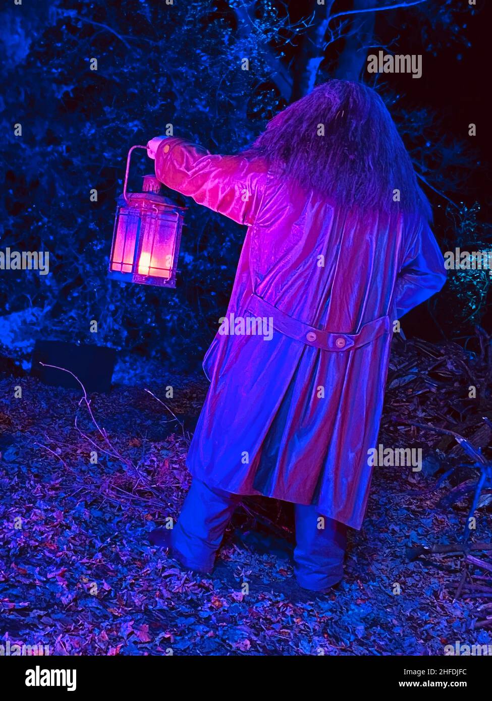 Harry Potter Forbidden Forrest Experience Stock Photo - Alamy