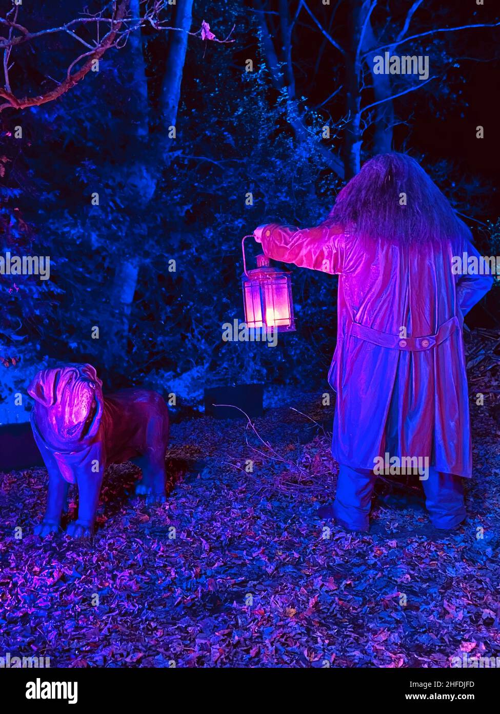 Harry Potter Forbidden Forrest Experience Stock Photo - Alamy