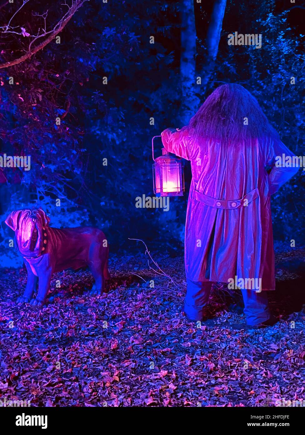 Harry Potter Forbidden Forrest Experience Stock Photo - Alamy