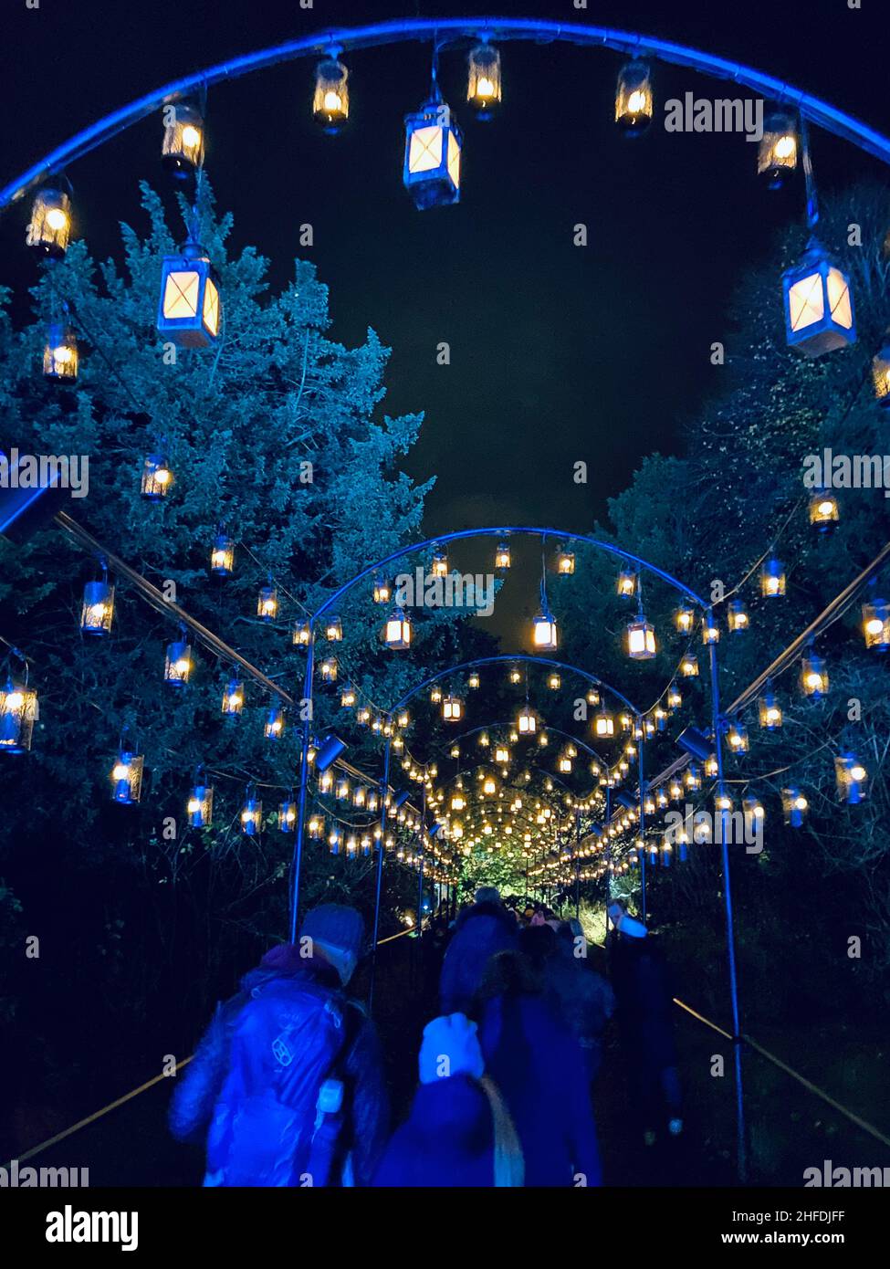 Harry Potter Forbidden Forrest Experience Stock Photo - Alamy