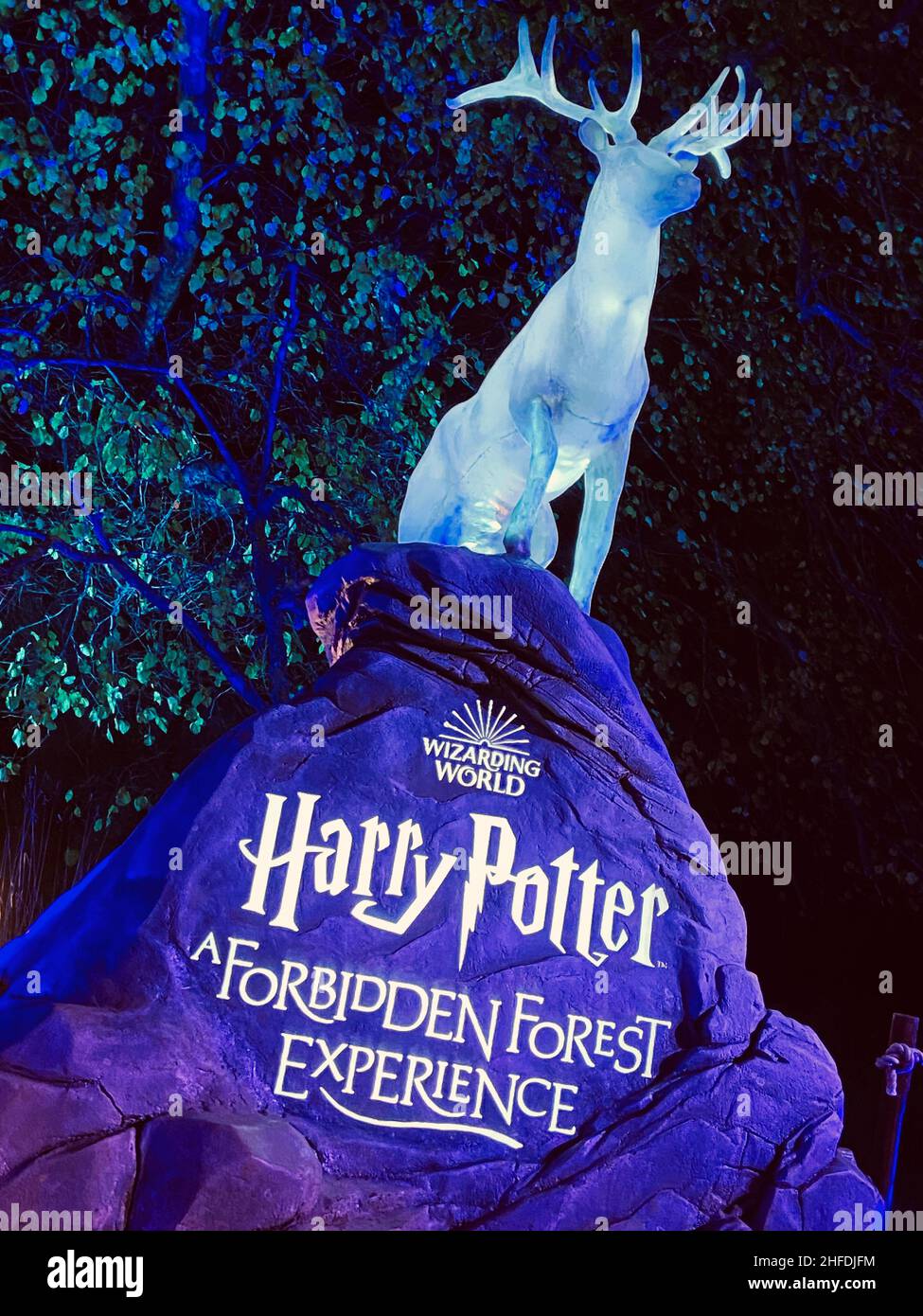 Harry Potter Forbidden Forrest Experience Stock Photo - Alamy