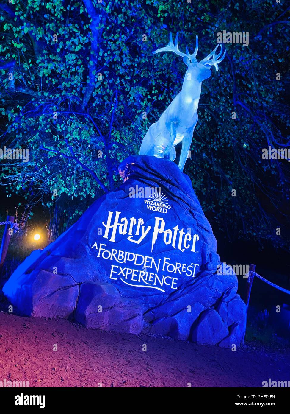 Harry Potter Forbidden Forrest Experience Stock Photo - Alamy