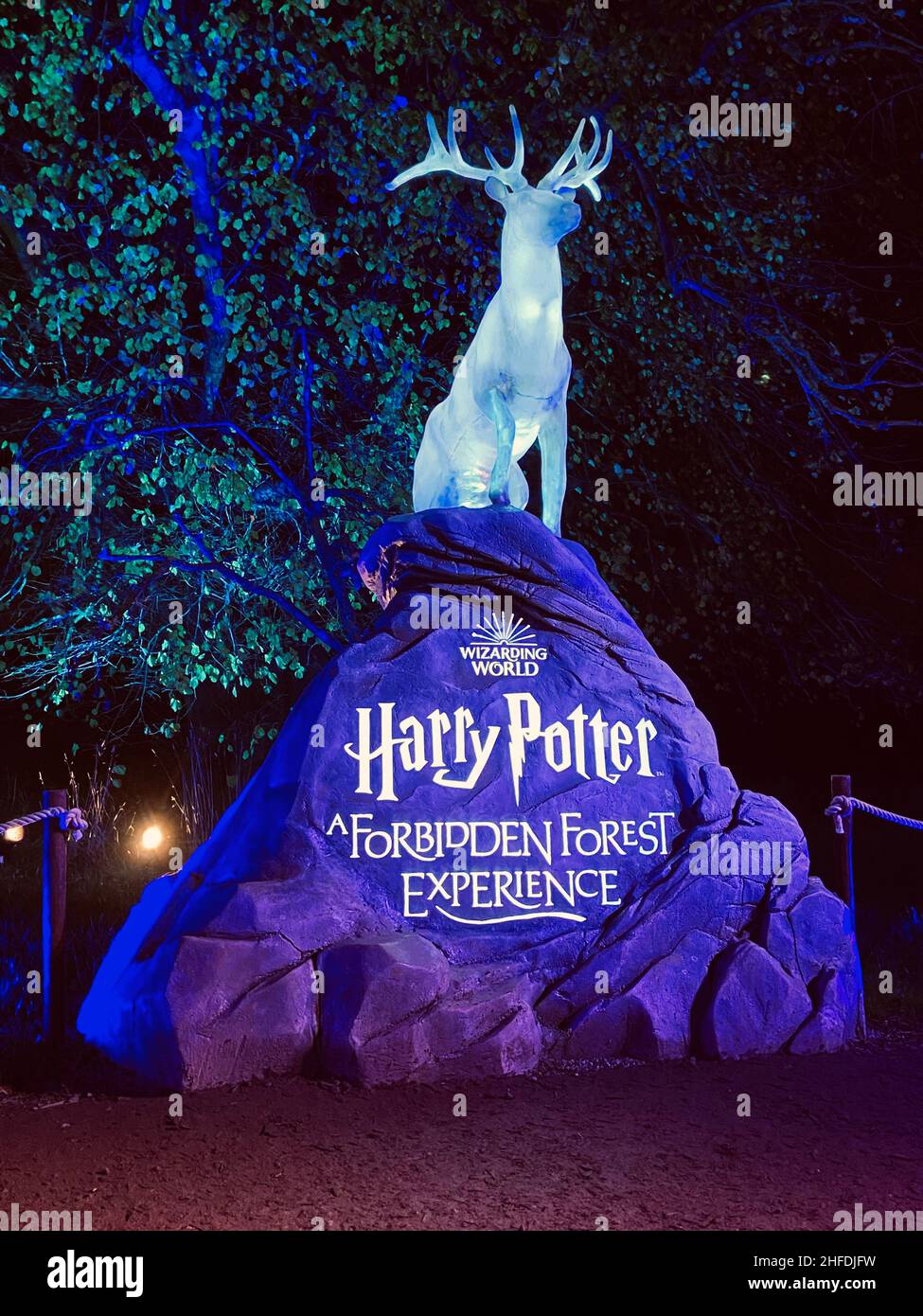 Harry Potter Forbidden Forrest Experience Stock Photo - Alamy