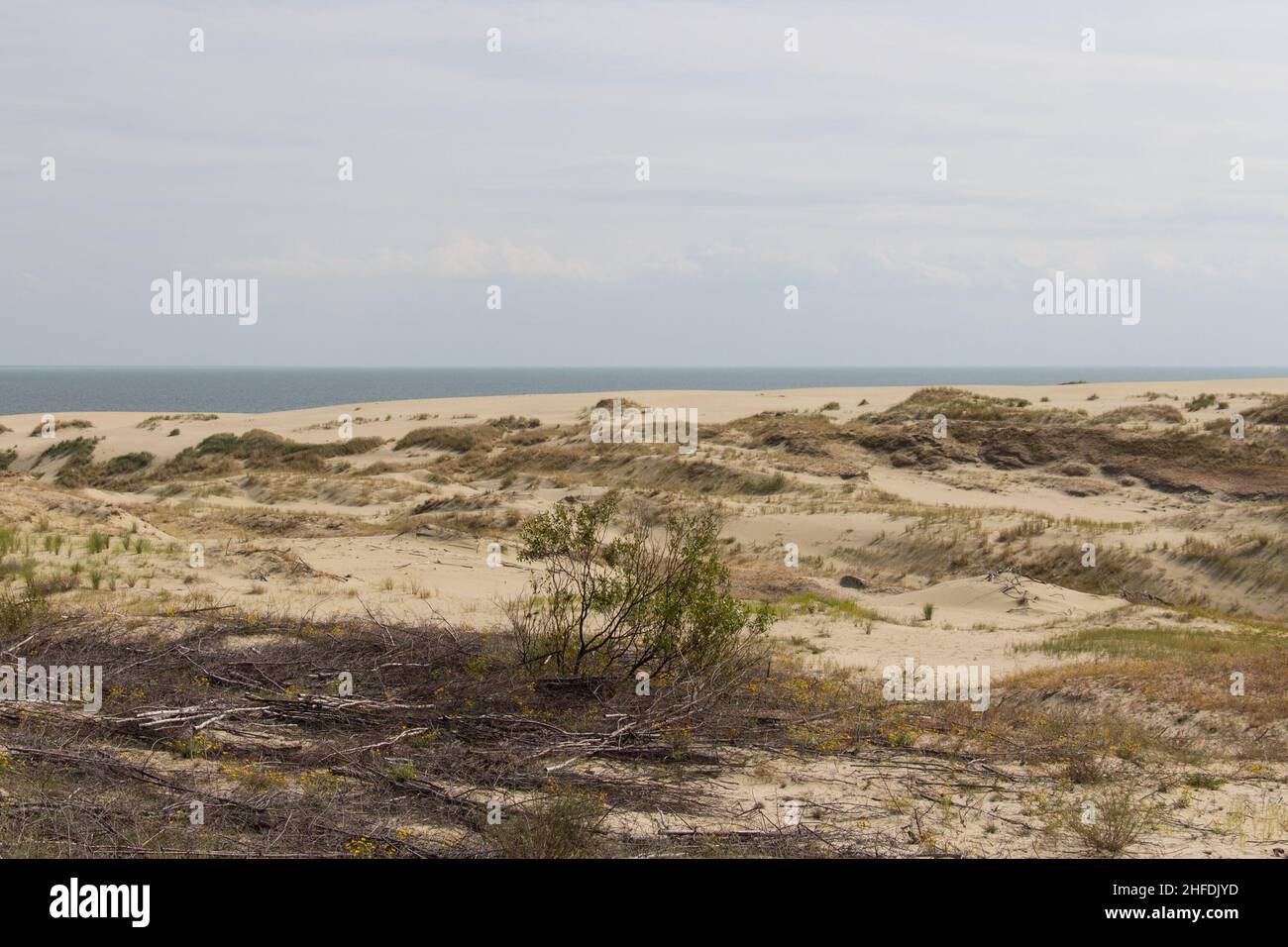 Kaliningrad oblast and curonian spit hi-res stock photography and ...