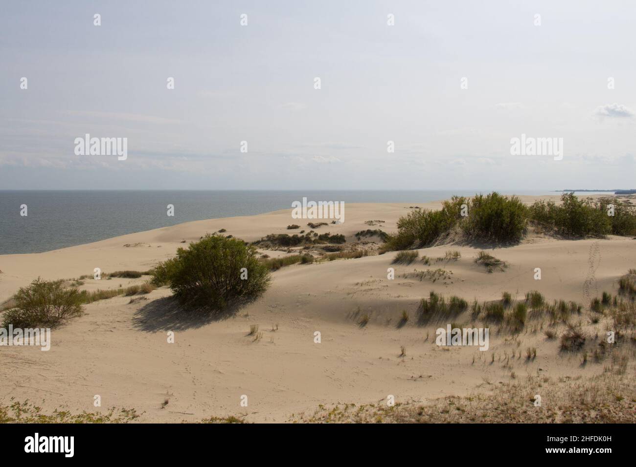 Kaliningrad oblast and curonian spit hi-res stock photography and ...