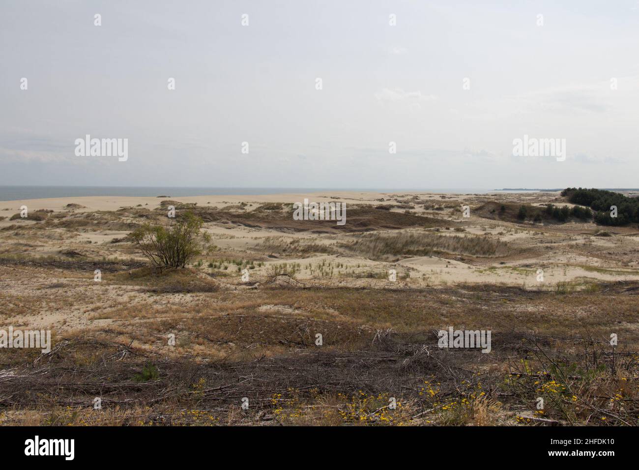 Kaliningrad oblast and curonian spit hi-res stock photography and ...
