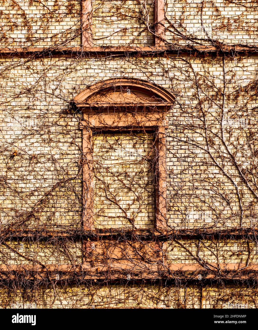 facade of an old house with window Stock Photo - Alamy