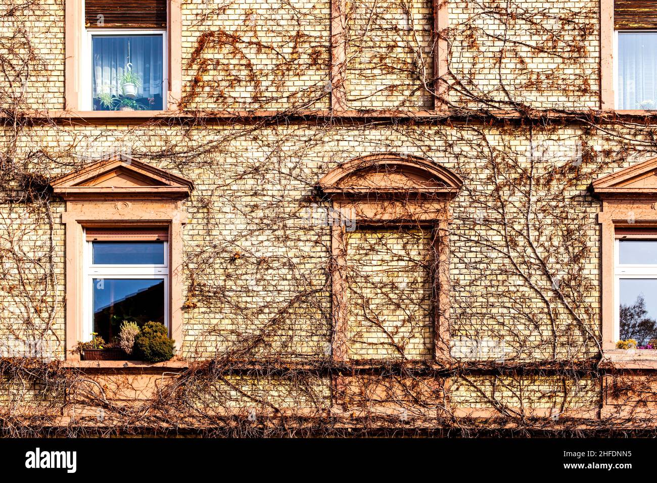 facade of an old house with window Stock Photo - Alamy
