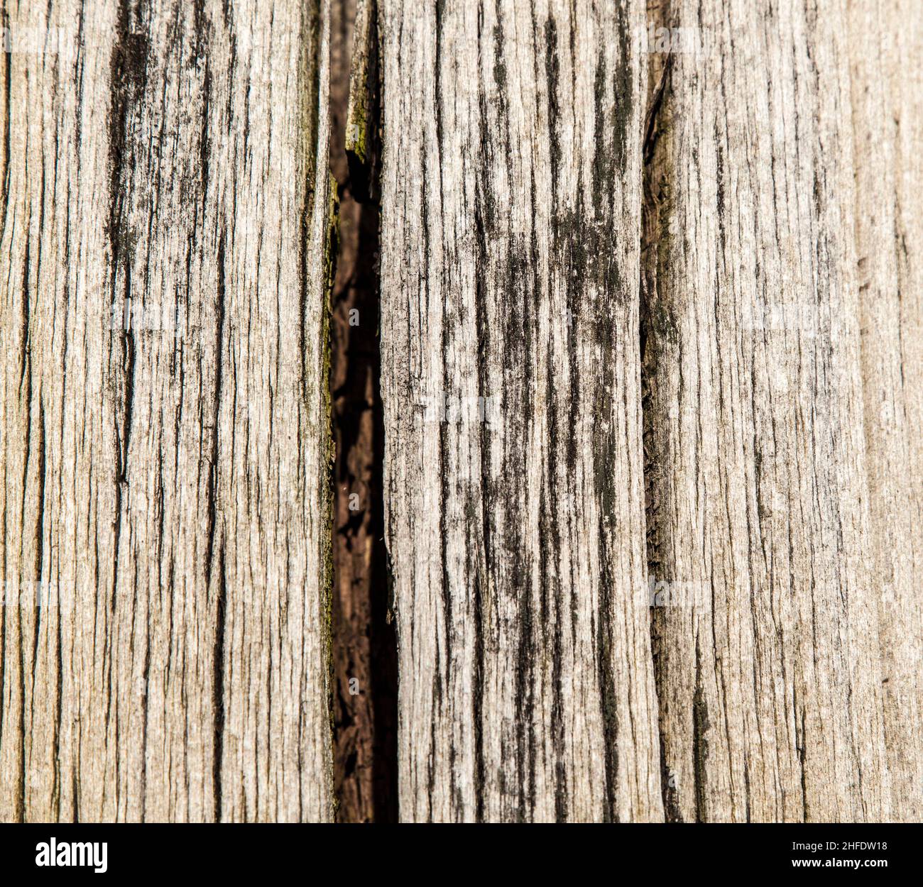 Cutted wood hi-res stock photography and images - Alamy