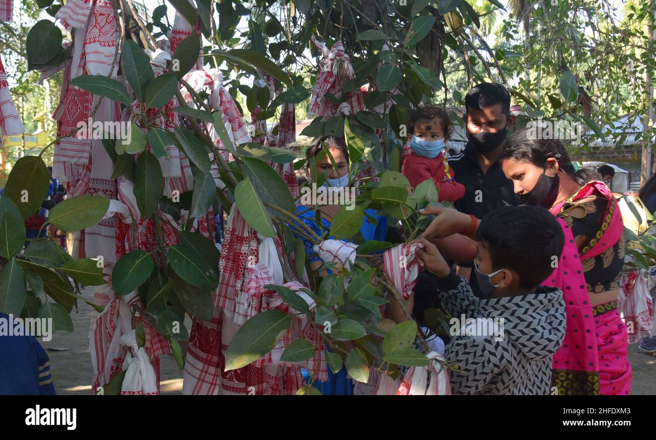 Guwahati, Guwahati, India. 15th Jan, 2022. Devotees tie Assamese ...