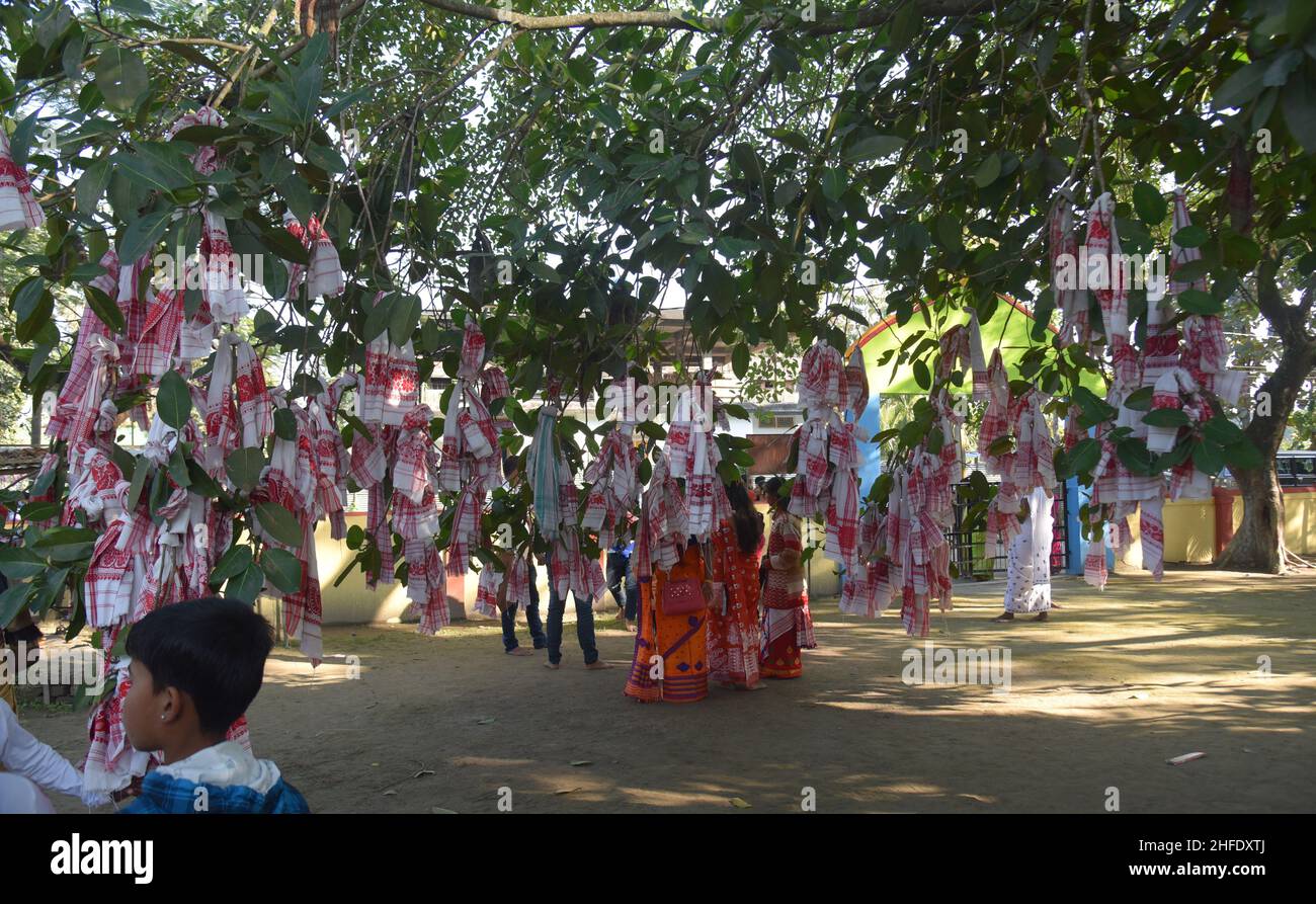 Banayan tree hi-res stock photography and images - Alamy
