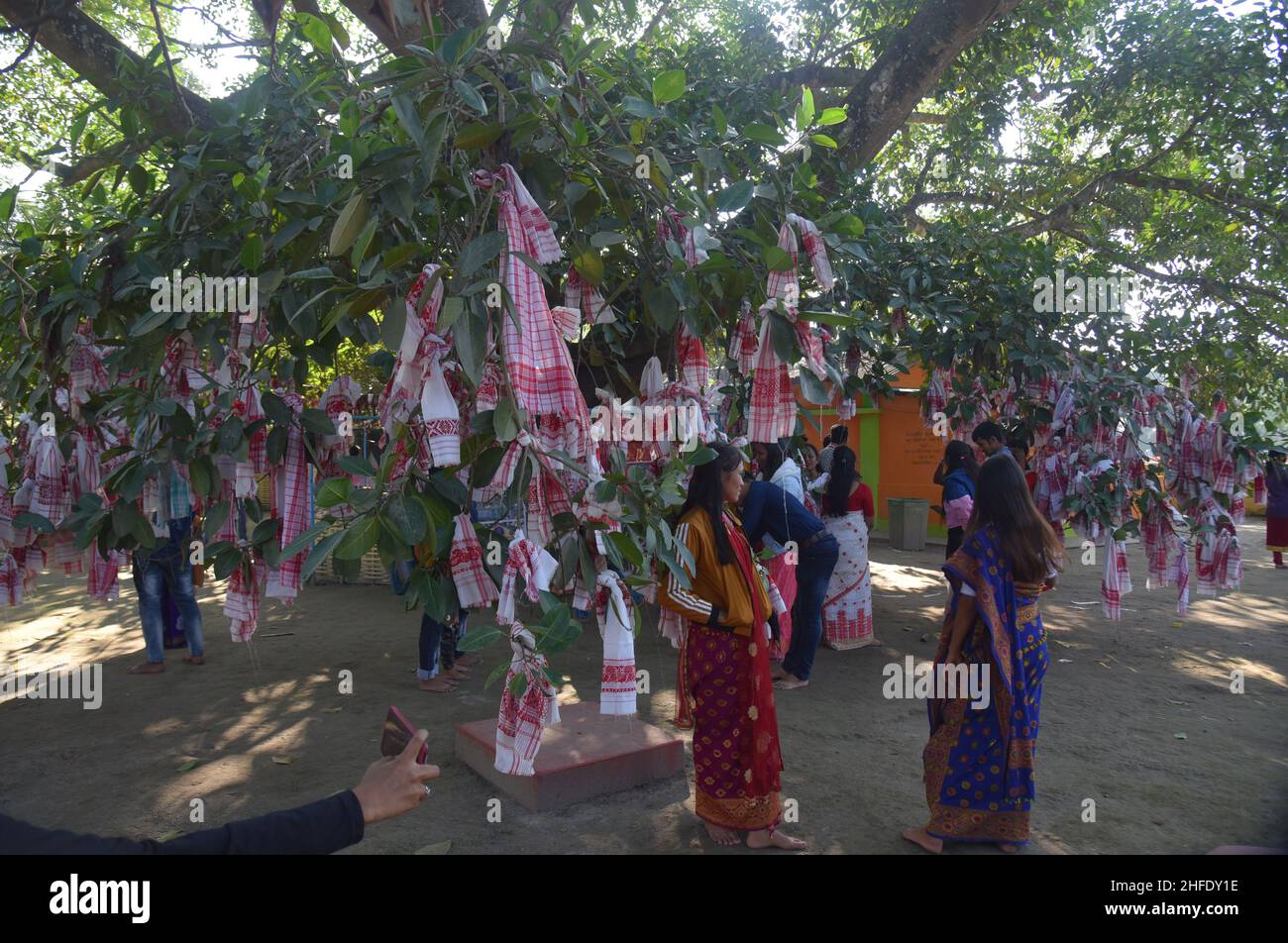 Guwahati, Guwahati, India. 15th Jan, 2022. Devotees tie Assamese ...