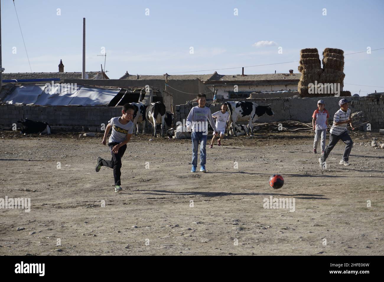 Kids are playing football in a dairy farm Stock Photo - Alamy