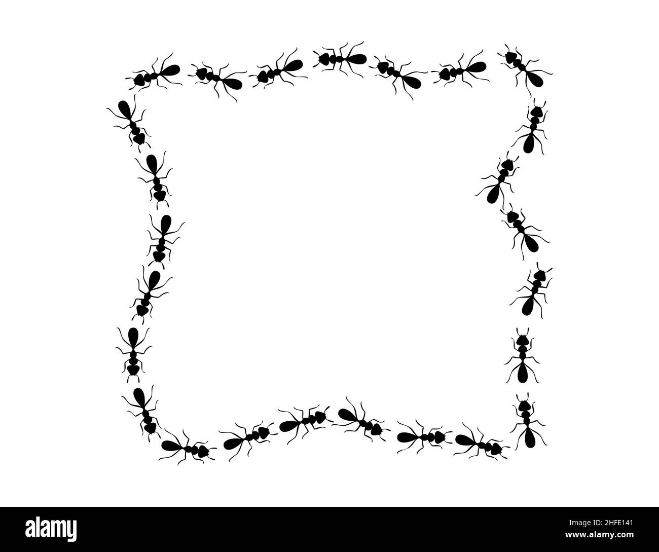 Black ants square border. Ants forming messy rectangular shape isolated in white background ...