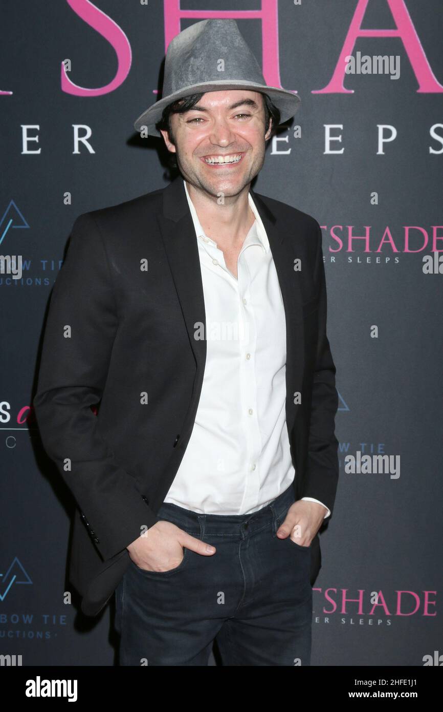 LOS ANGELES - JAN 7: Chris Levine at the Nightshade Premiere at Regal ...