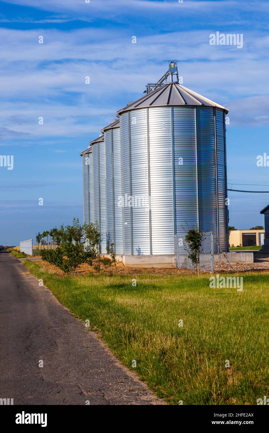 four silver silos in corn field under blue sky Stock Photo - Alamy