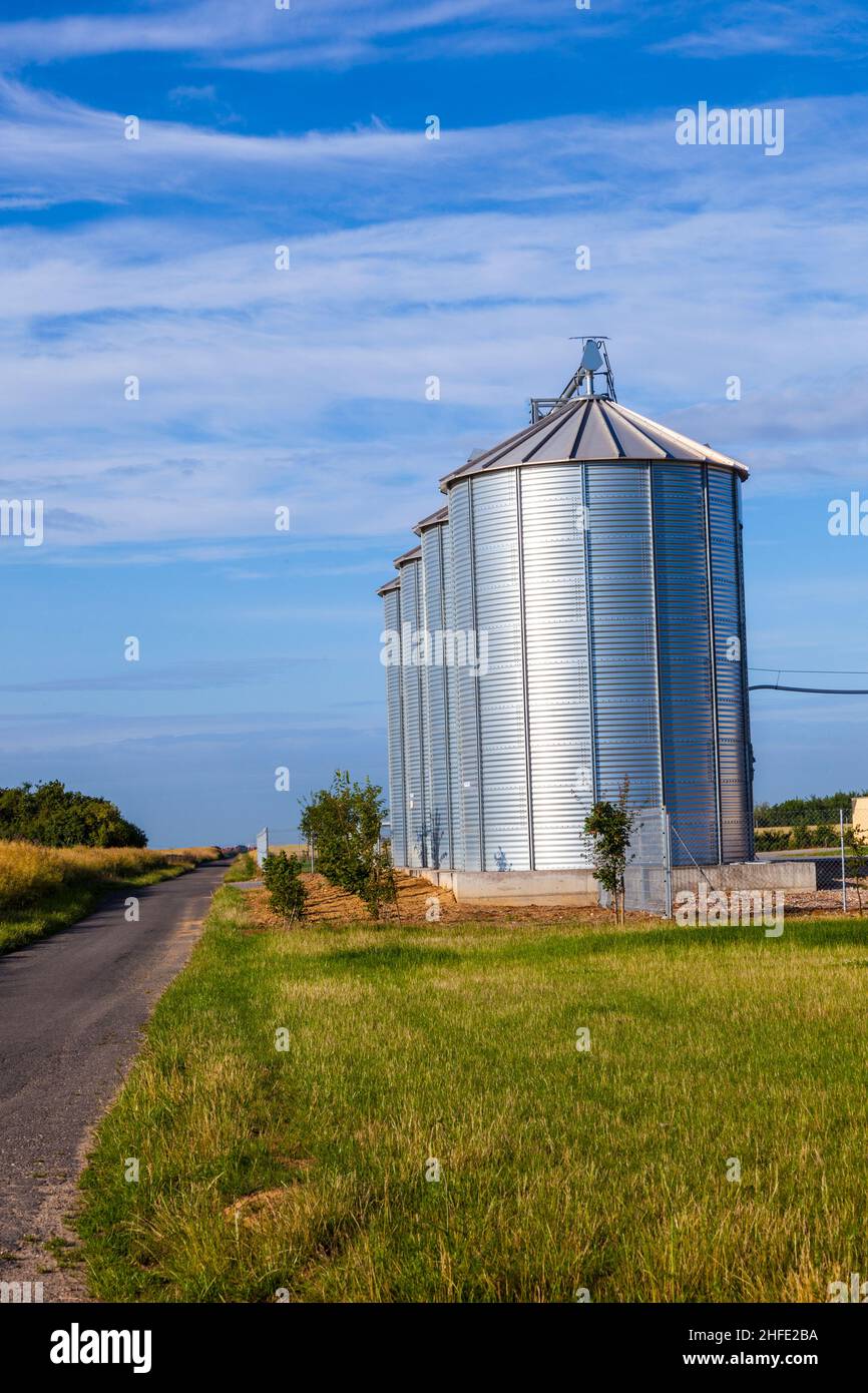four silver silos in corn field under blue sky Stock Photo - Alamy
