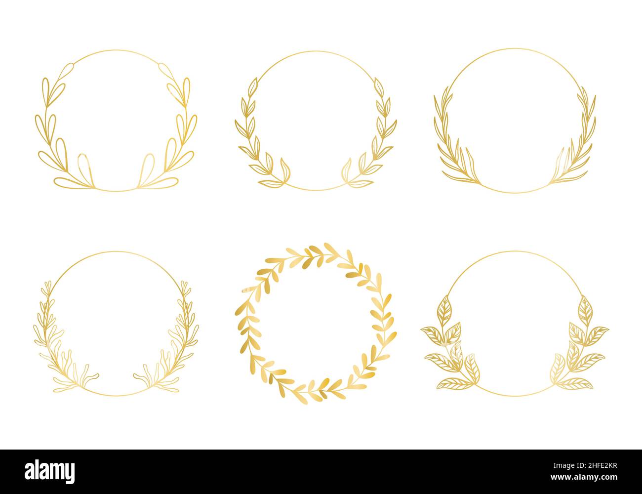 Set of golden botanical frames vector illustration Stock Vector Image ...