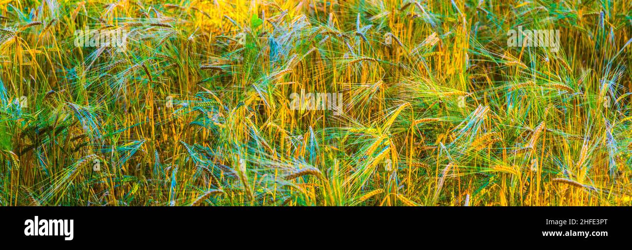 Sunbeam after rain in hi-res stock photography and images - Alamy