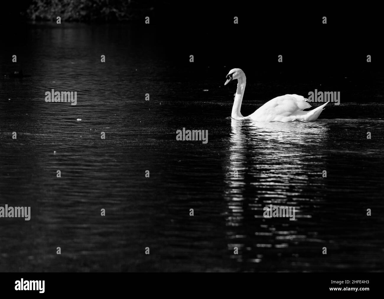 Local uk park Black and White Stock Photos & Images - Alamy