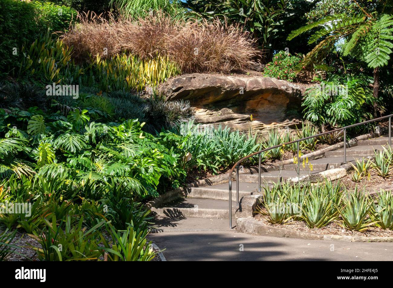 Sydney Australia, view of a footpath with flowerbeds in public park ...