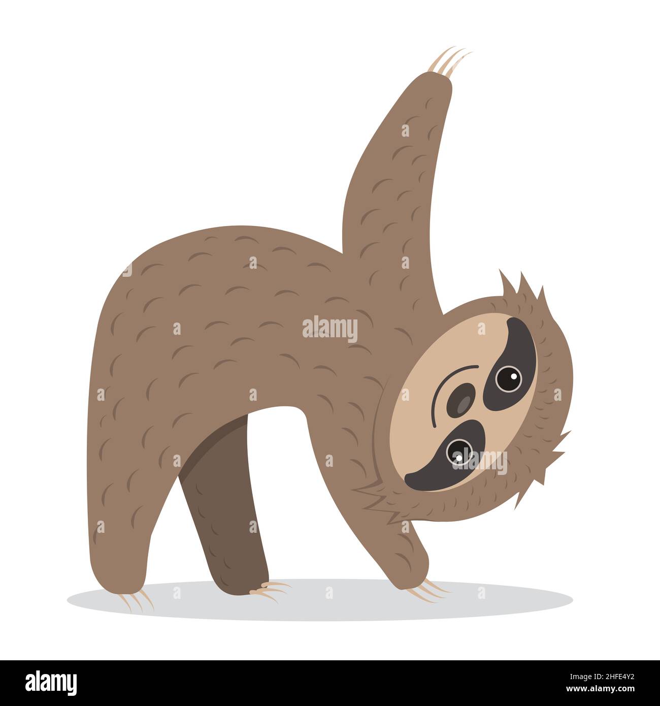 Cute sloth character doing yoga, isolated vector illustration cartoon ...