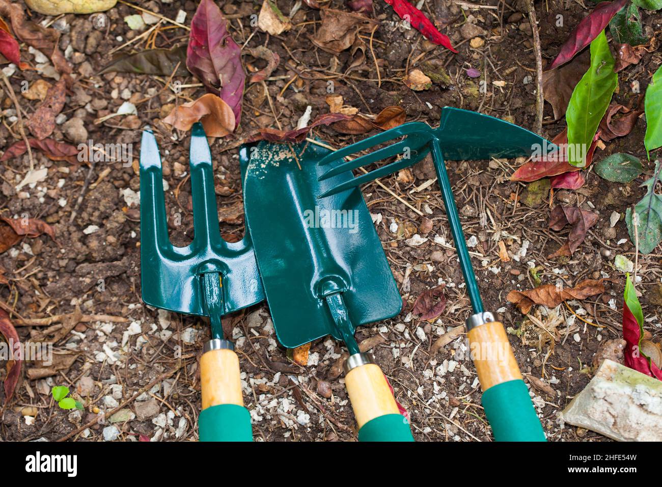 Gardening tools on the ground in backyard Stock Photo - Alamy