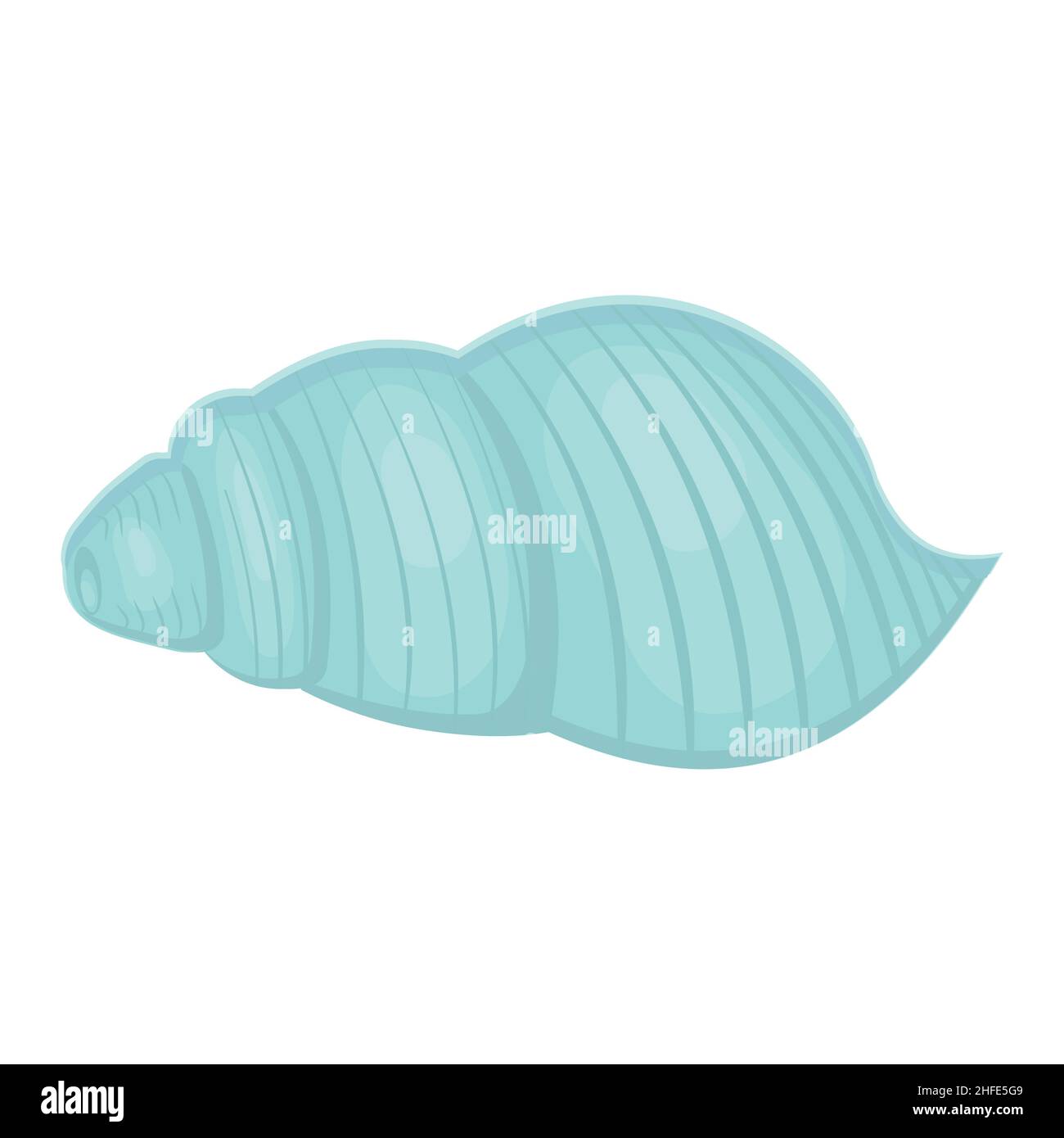 Color isolated seashell, isolated vector illustration in cartoon style ...