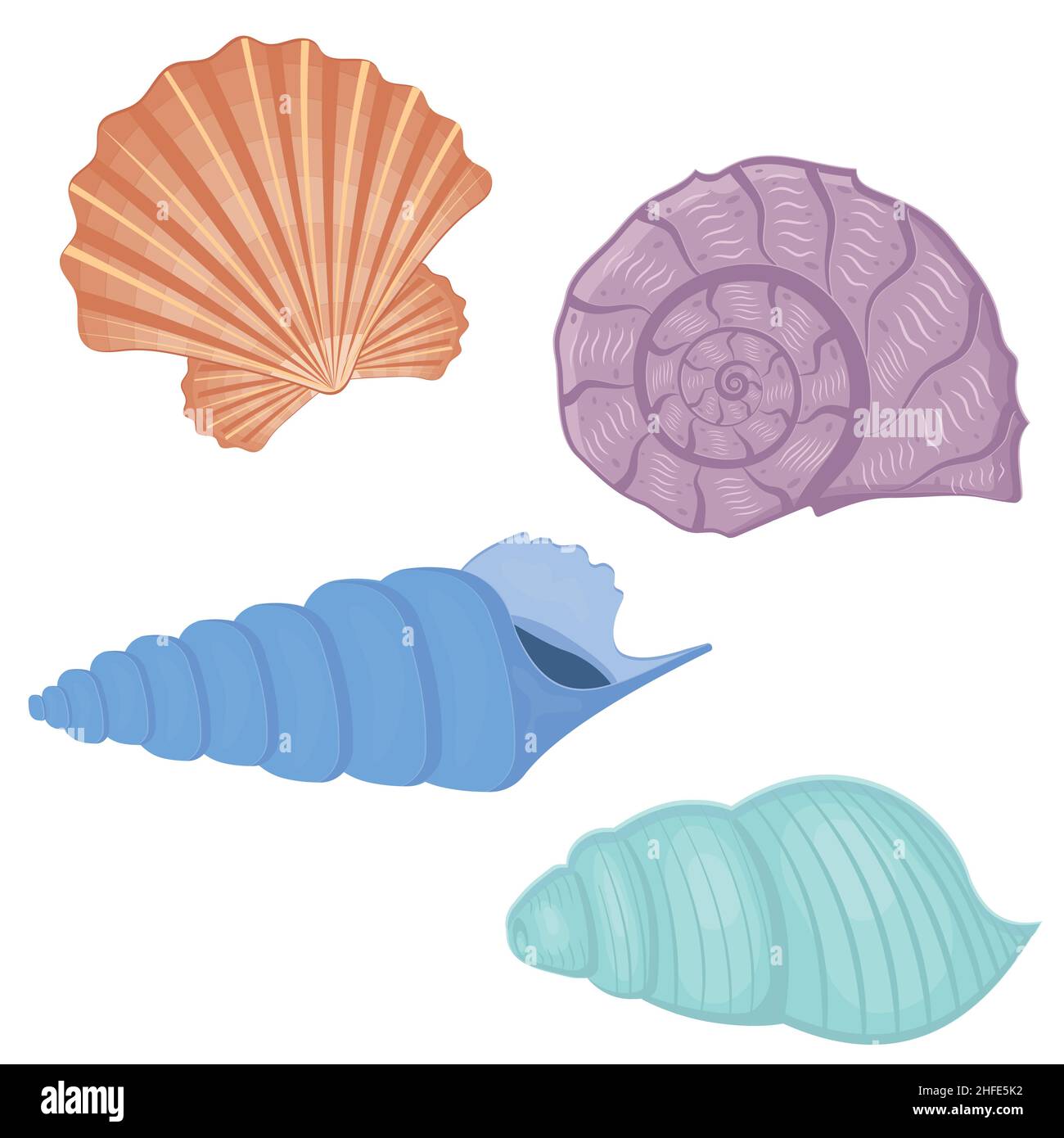 A set of colored seashells. Isolated vector illustration on a white ...