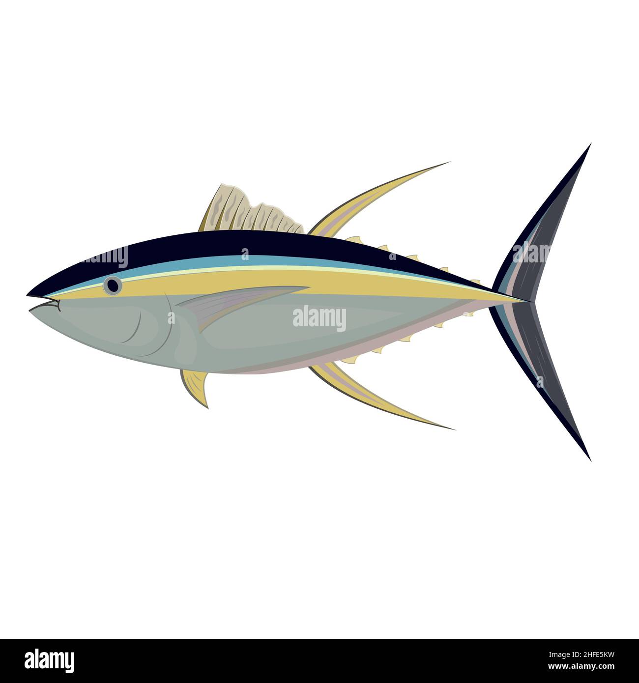 Tuna fish isolated on a white background, color vector illustration ...