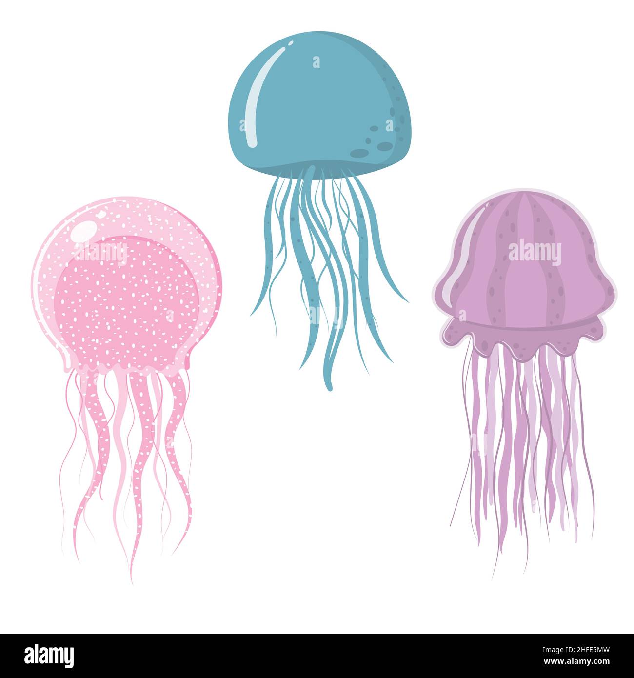 Set of multicolored jellyfish isolated on a white background, color ...