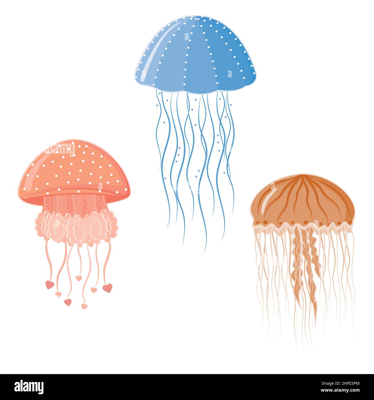 Set of multicolored jellyfish isolated on a white background, color ...