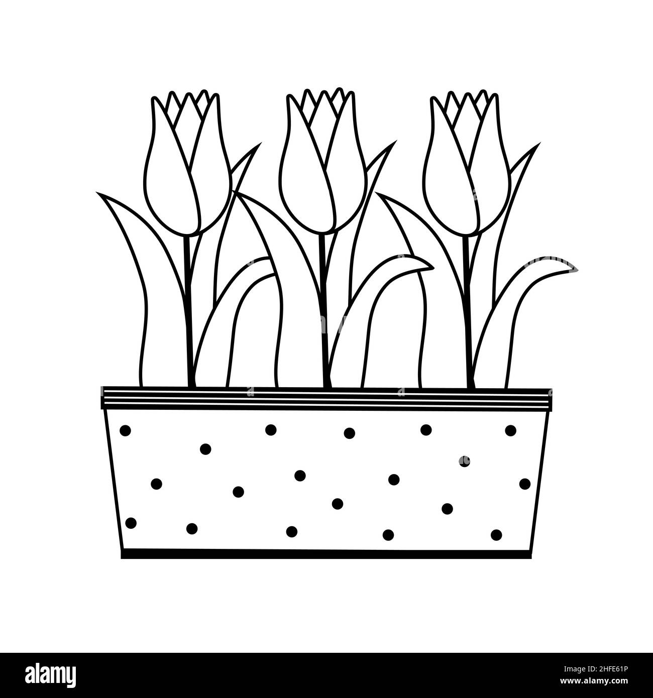 Tulips in a container Stock Vector Images - Alamy