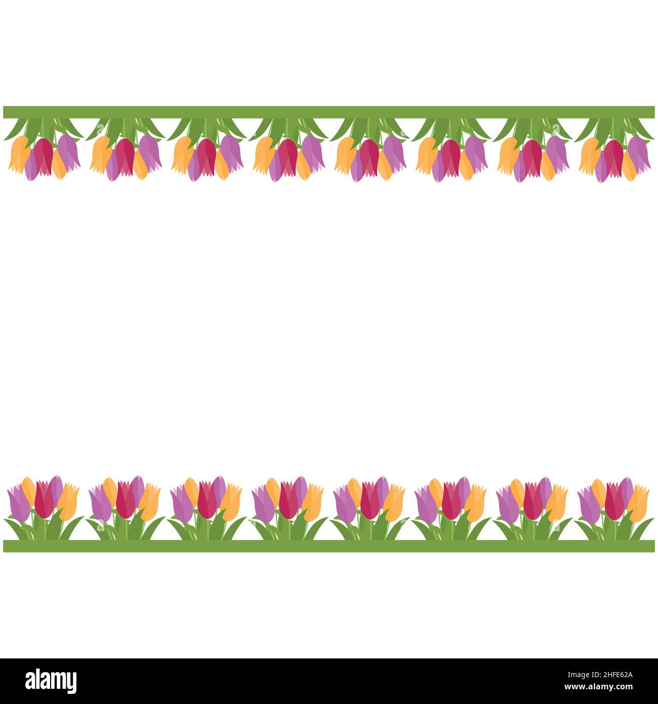 flower border made of tulips, color vector isolated on a white ...