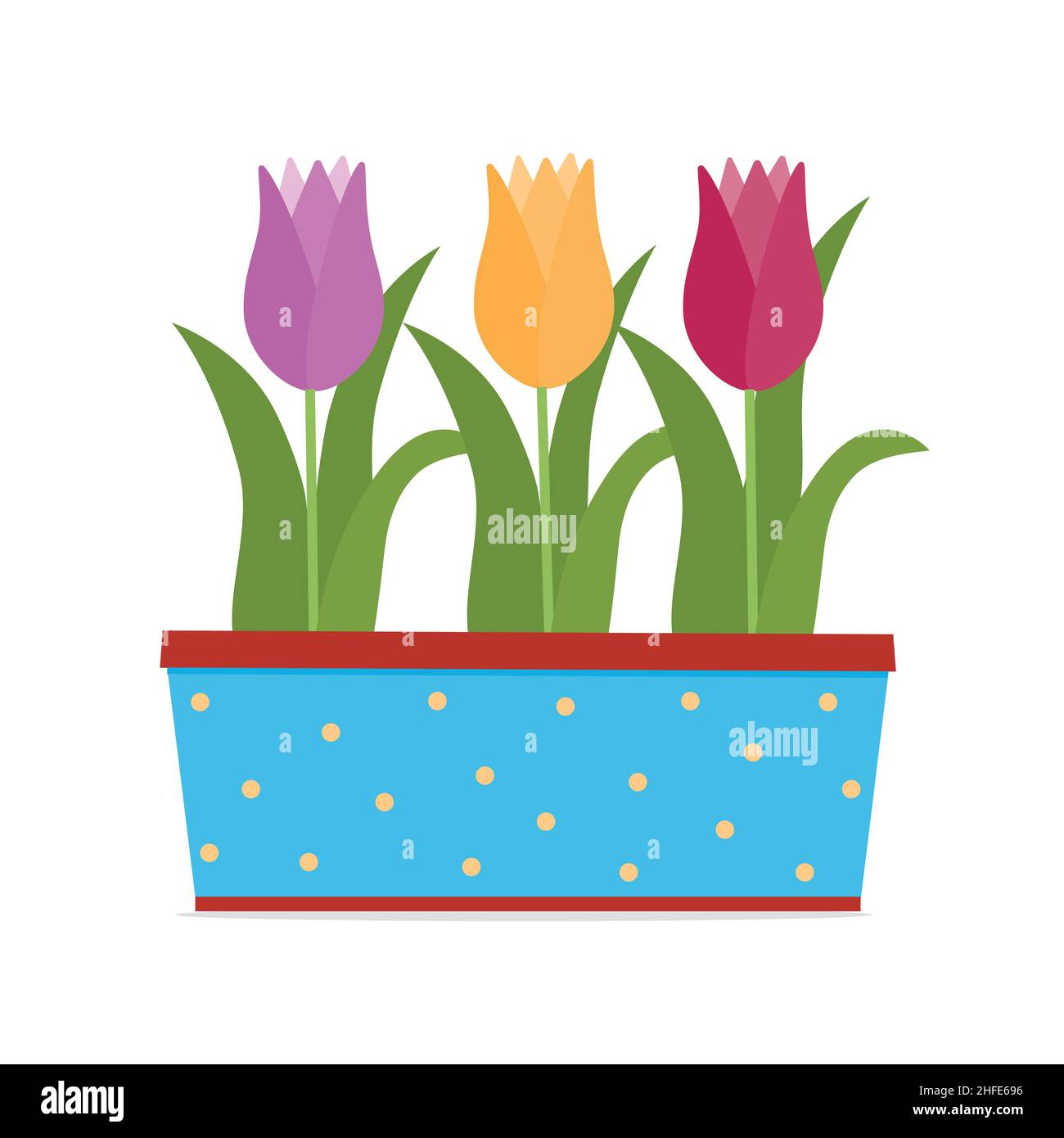 Colorful flowers tulips in a decorated flower pot, isolated vector ...
