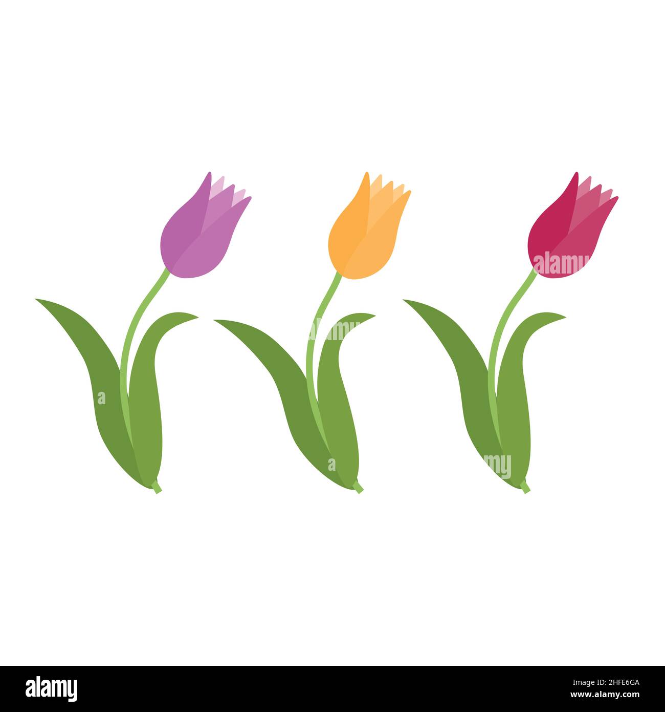 Spring Flower tulip, Vector color isolated, Decor Decoration Print ...