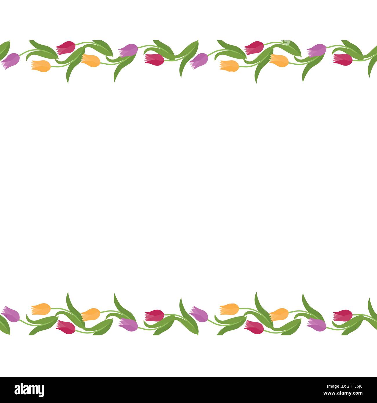 flower border made of tulips, color vector isolated on a white ...