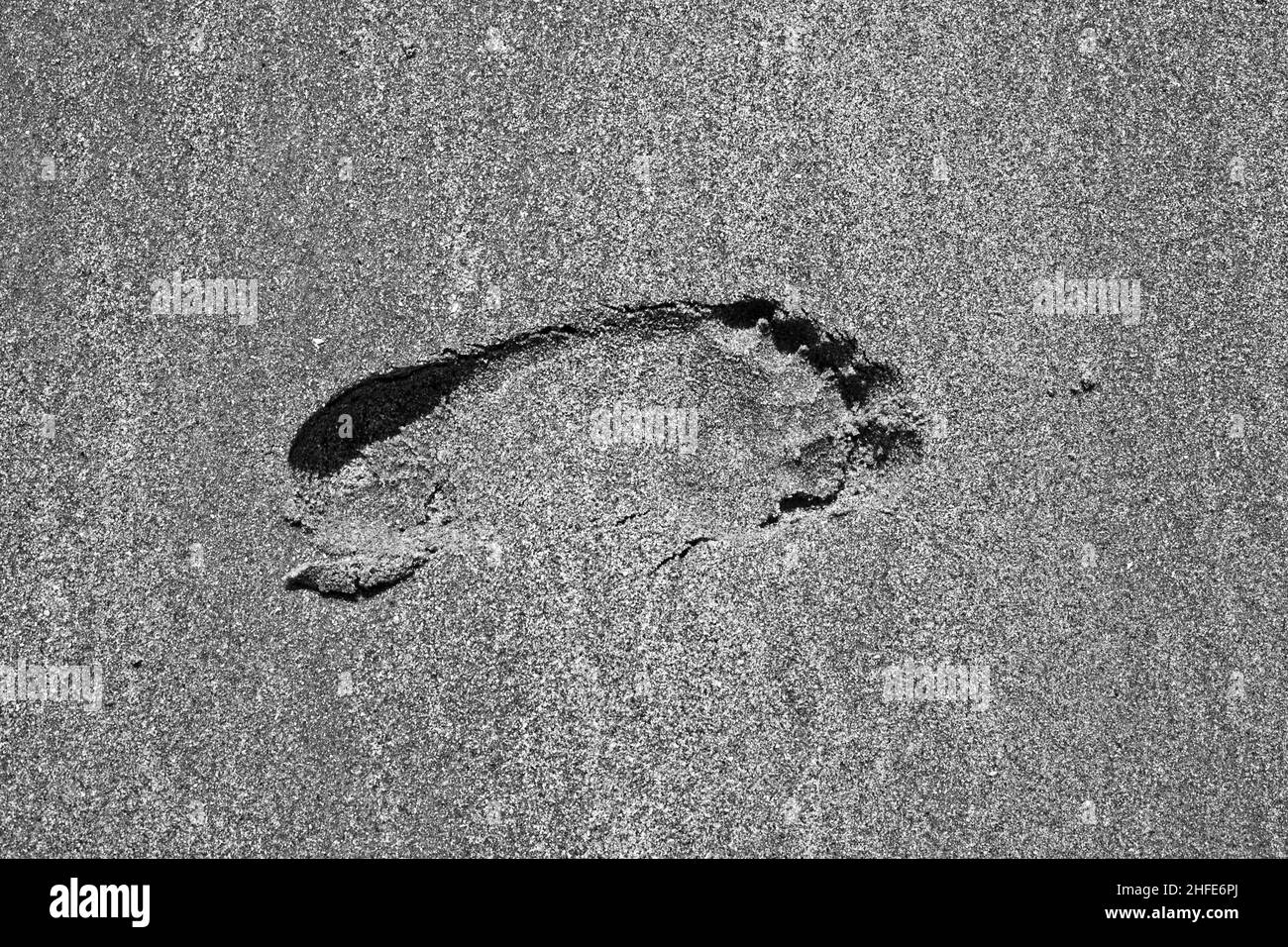 mark of barefoot feet at the beach Stock Photo - Alamy