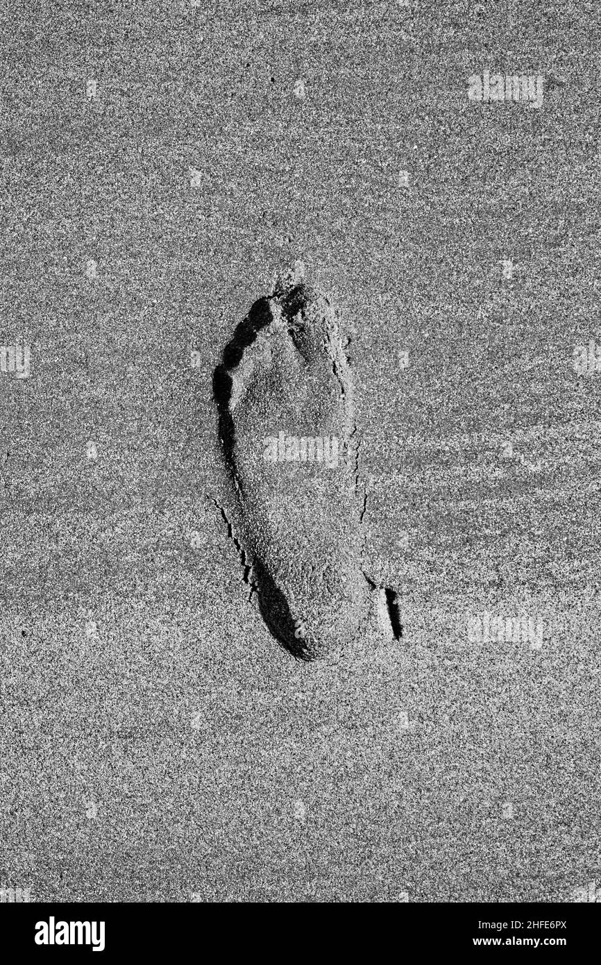 Human foot barefoot footprint Black and White Stock Photos & Images - Alamy