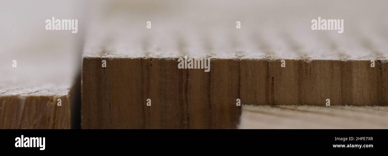 Strong end face of natural beige wood close-up Stock Photo - Alamy