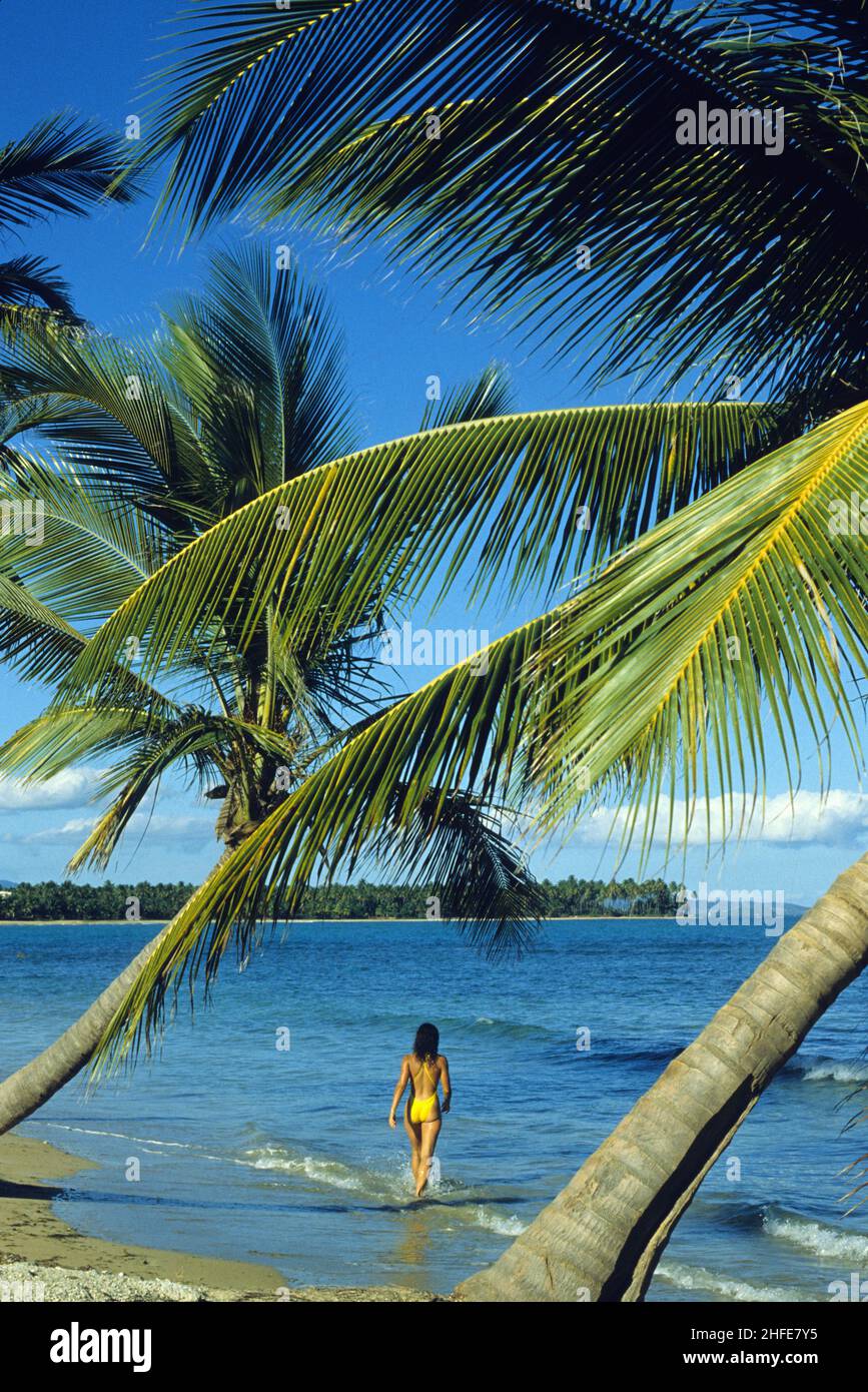 black hair smiling young beauty back view running yellow bathing suit ...