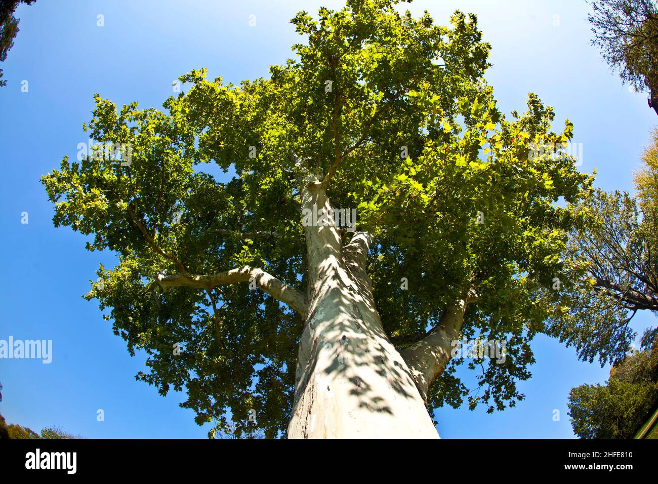 Old grand trunk bridge hi-res stock photography and images - Alamy