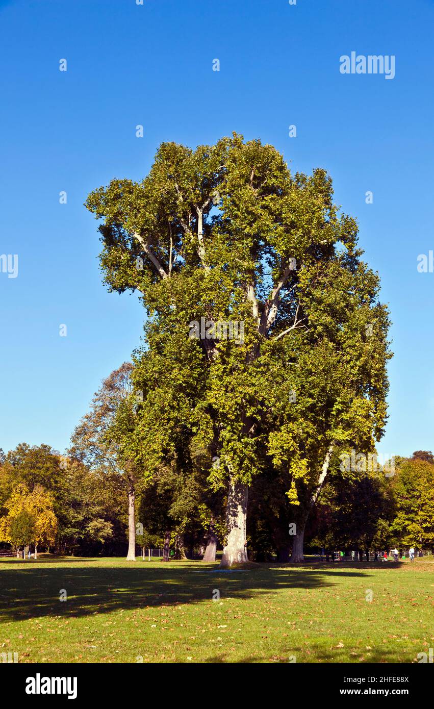 Old grand trunk bridge hi-res stock photography and images - Alamy