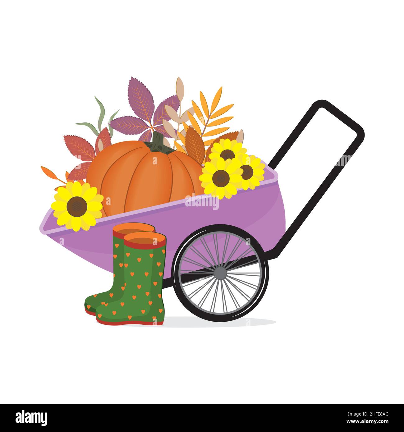 Wheelbarrow with a large pumpkin, sunflowers and rubber boots, color ...
