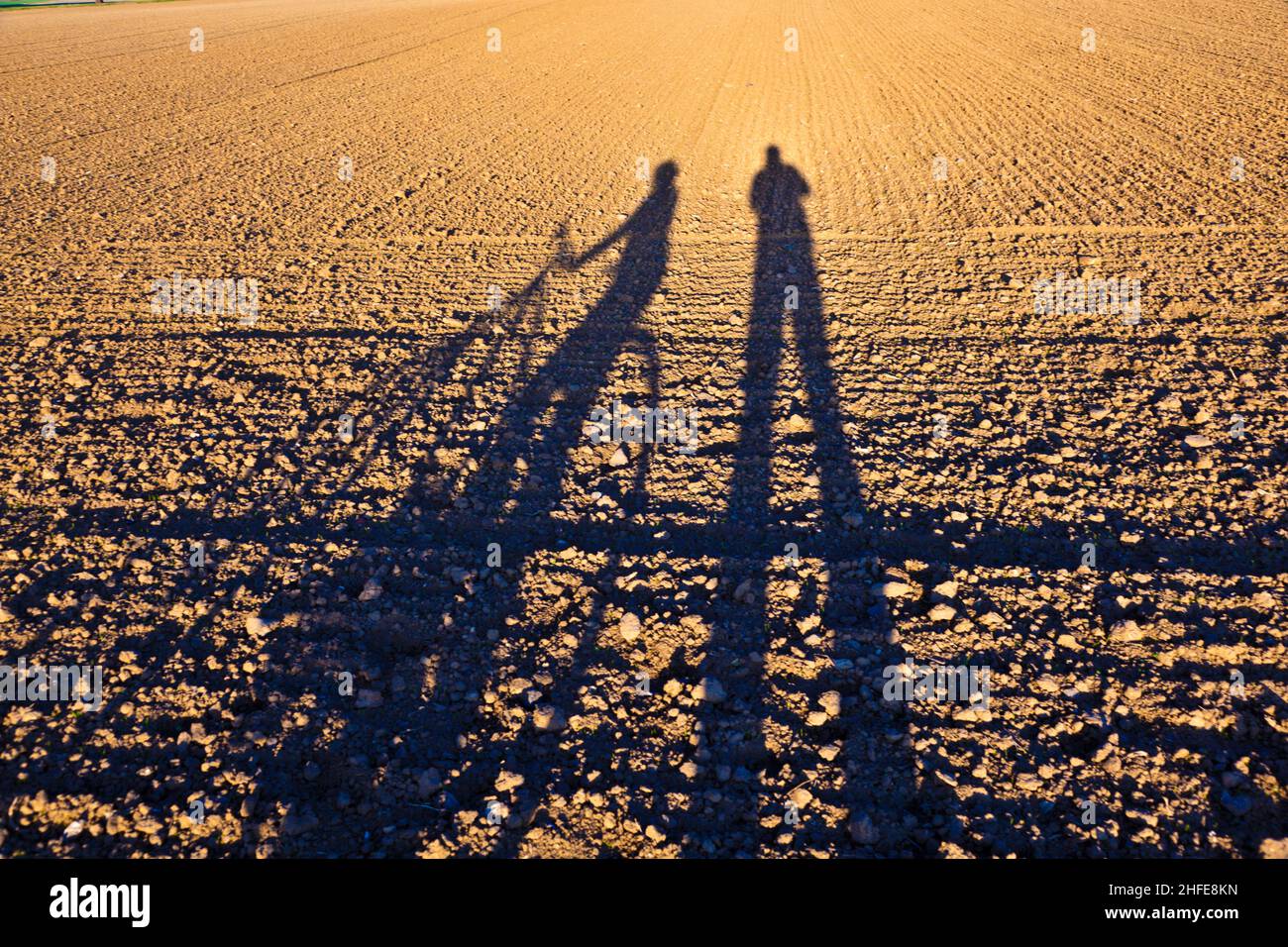 shadow of gesturing man Stock Photo - Alamy